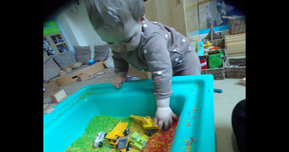 Traffic Light Rice Exploration