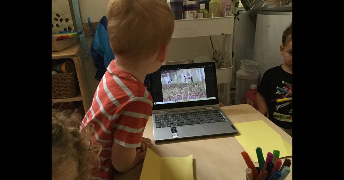 ICT in Nature