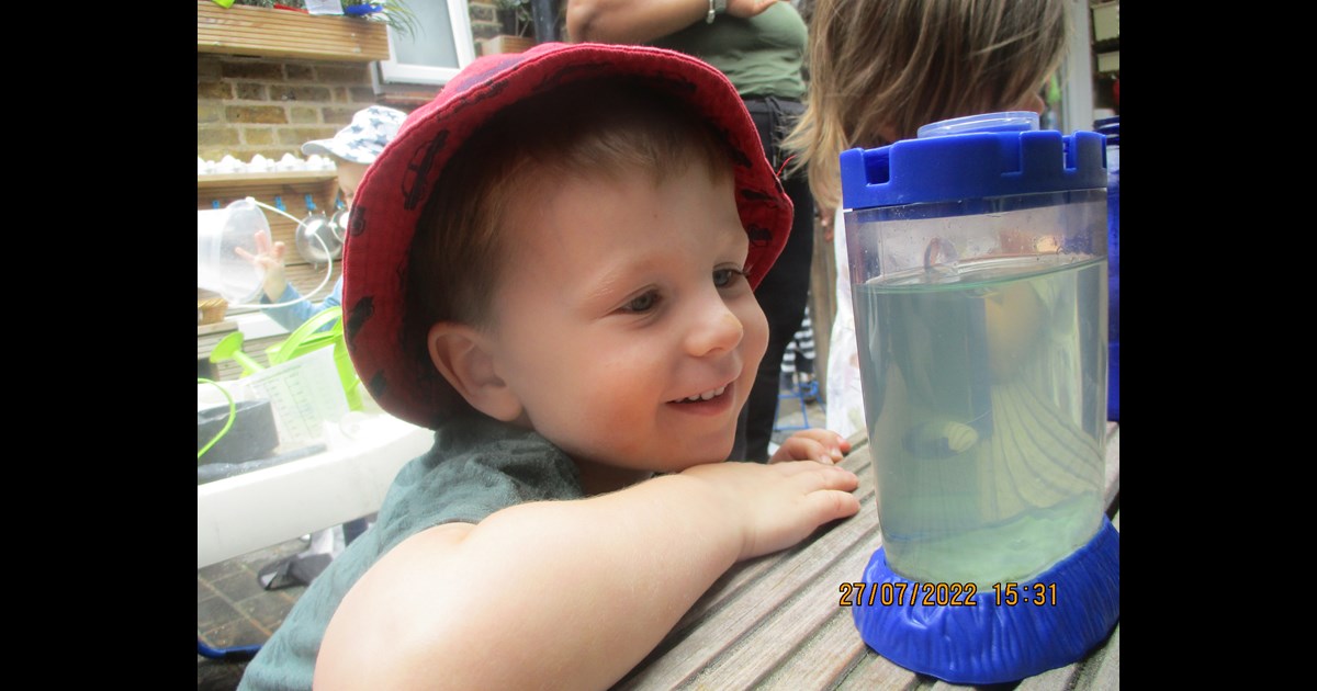 Hatching Sea Monkeys