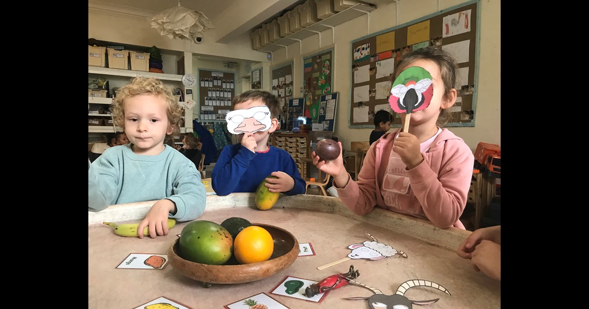 Handa Surprise Fruit Tasting