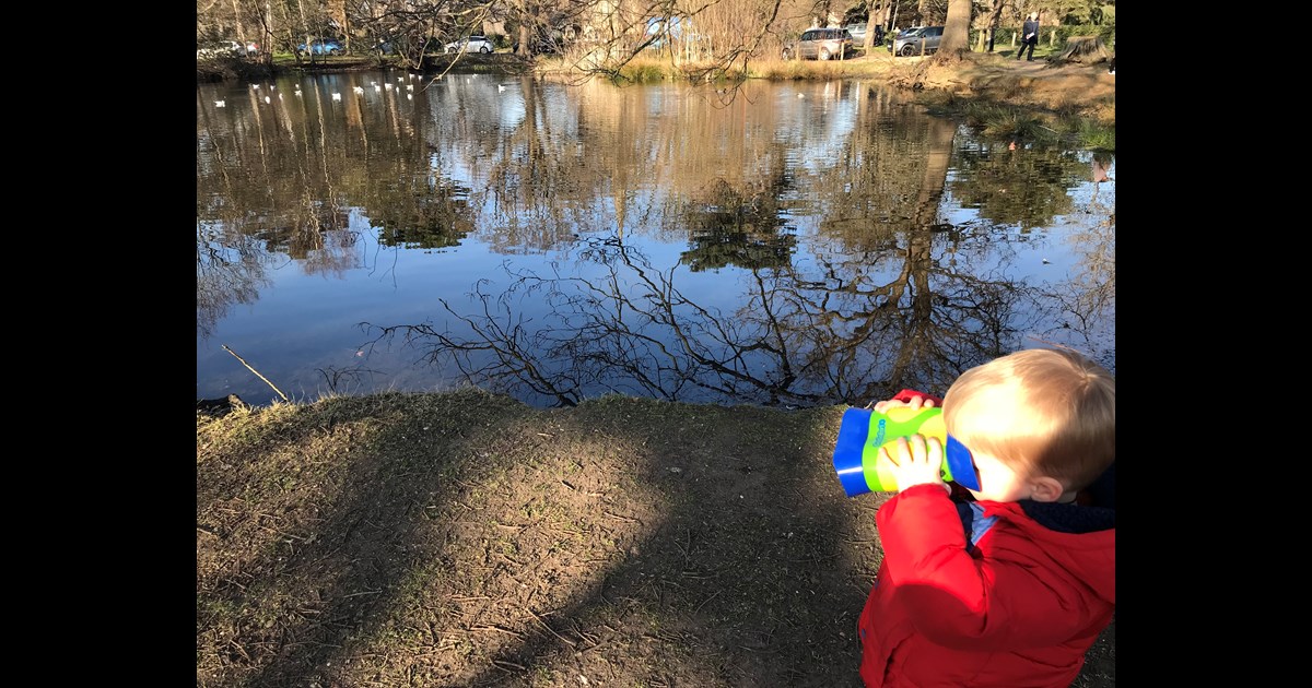 Visiting the Duck Pond