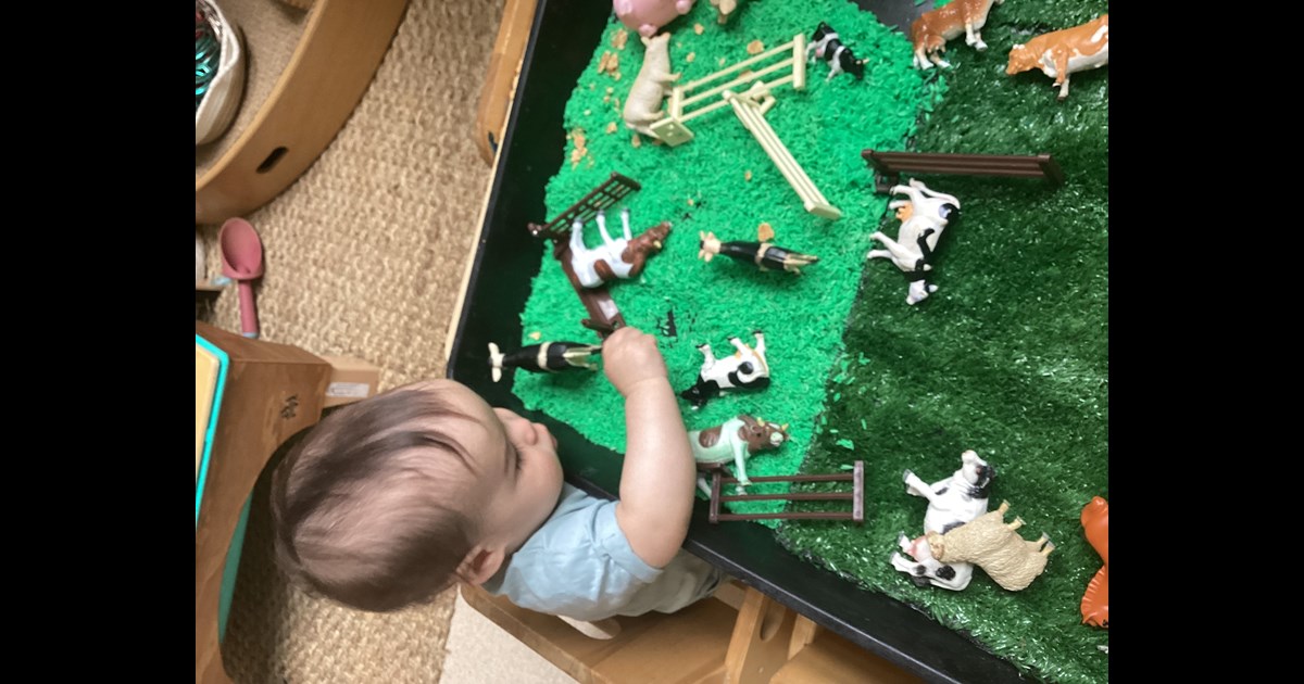 Farm animal tuff tray