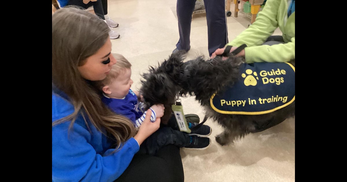 Guide Dog in Training Visit