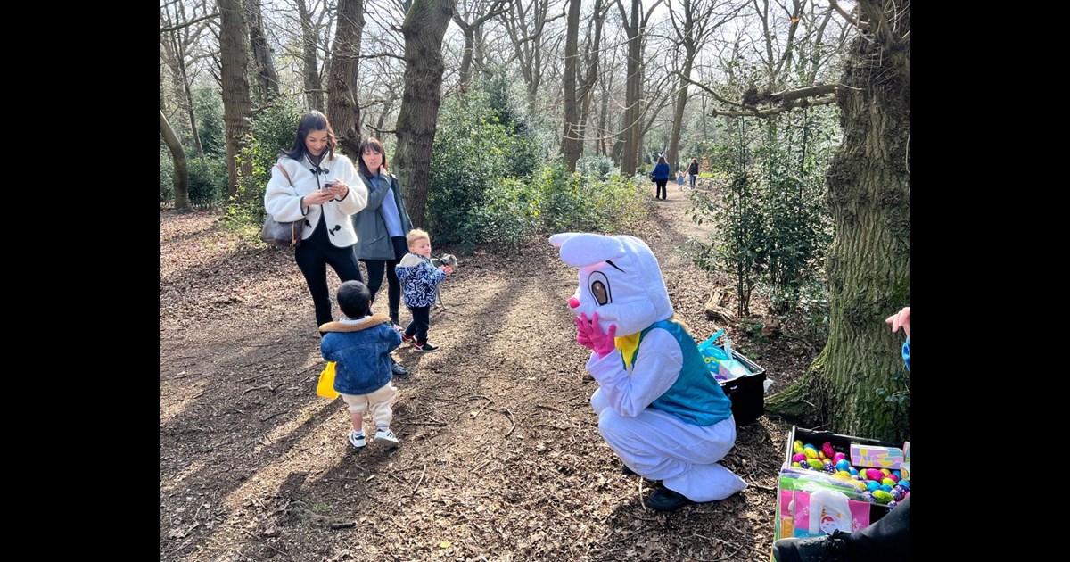 Forest Easter Egg Hunt