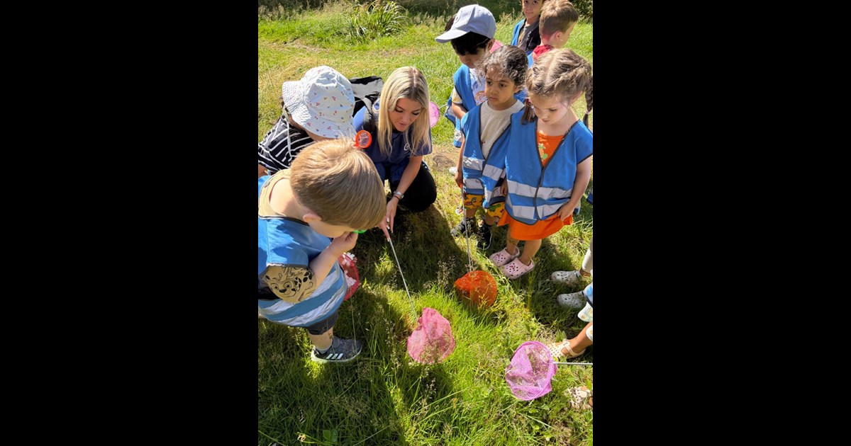 Butterfly Hunt